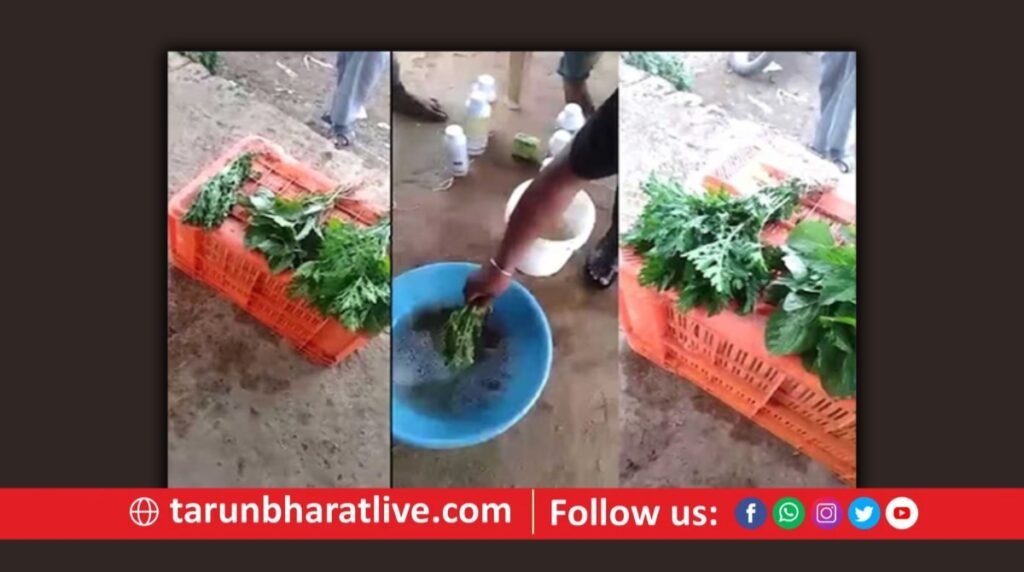 हिरव्यागार भाज्या की विष? - Tarun Bharat Live